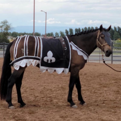 Destrier Horse Costume Medieval Barding Costume Equine Jousting ...