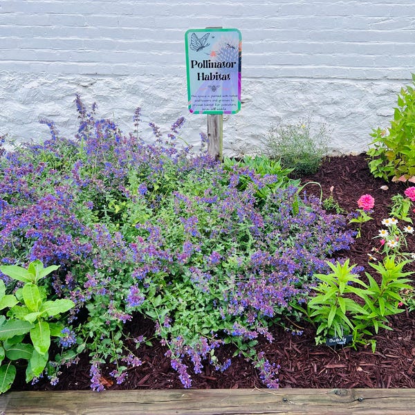Pollinator Habitat -in Progress- Sign Promoting Native Plants; Quality ...