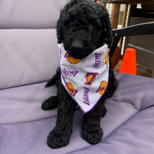 Los Angeles Lakers Dog Bandana, Basketball Dog Bandana - Etsy