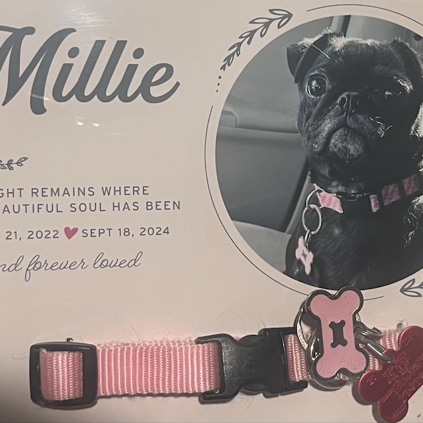 Pet Memorial Paw Print Holder Shadow Box, Two Paw Prints, Pet Loss ...