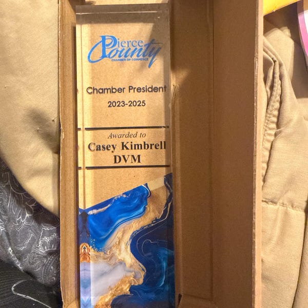 Personalized Award Corporate Trophy Award - Company Anniversary Awards ...