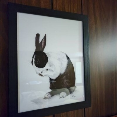 SALE Rabbit Breeds Poster - Etsy