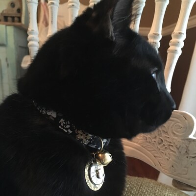 Handstamped, Personalized Cat Name Tag, Cat ID Tag, Comes With the ...