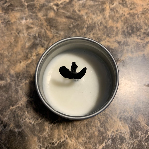 Baked Ham Scented Candle, Vegan Candle, Homemade Candles, Candles, Tin ...