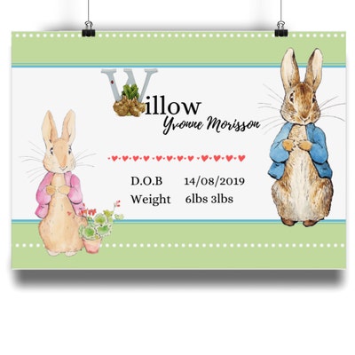 Peter Rabbit Digital Paper, Peter Rabbit Background Pages, Digital ...