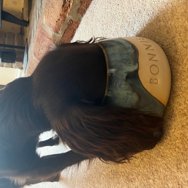 Personalised Spaniel Bowl | Handmade Ceramic | Water Food Bowl New Pet ...