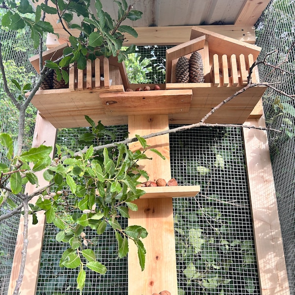 Squirrel House With Predator Guard - Etsy