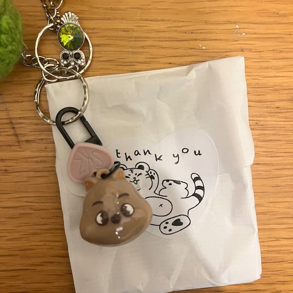 Skzoo Keychains | Stray Kids, Stray Kids Key Ring, Stray Kids Key Chain ...