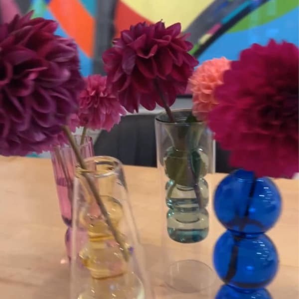 Nordic Glass Vase - Minimalist and Elegant Vase for Stylish Home Decor ...