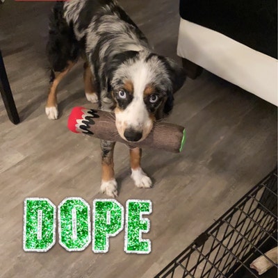 Dooby's blunt Cigar Hemp Dog Toy - Etsy