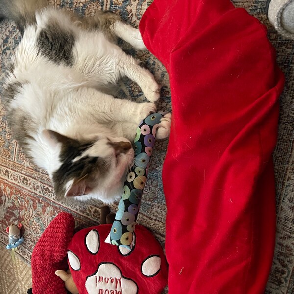 Pea Paw'd Cat Nip Pea Pod Toy - Etsy