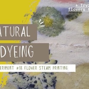 NATURAL DYE OSAGE Bulk Powder Dyestuff 40 Grams Yellow Golden Gold ...