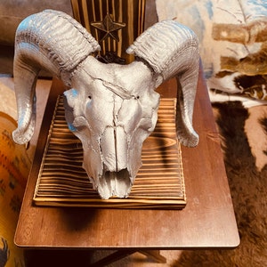 BEAUTIFUL Whitetail Deer Metalized European Mount. Gorgeous 9pt Buck ...