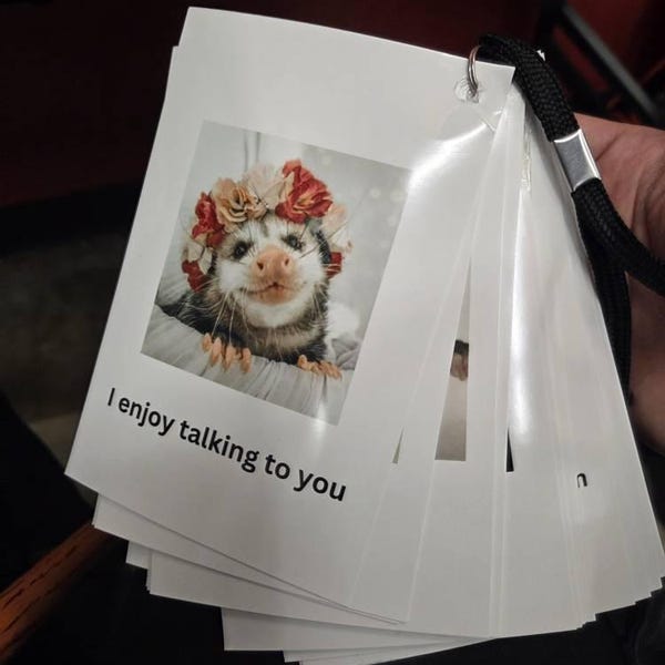 Silly Cat Themed Autism Communication Cards, AAC, Digital Nonverbal Aid ...