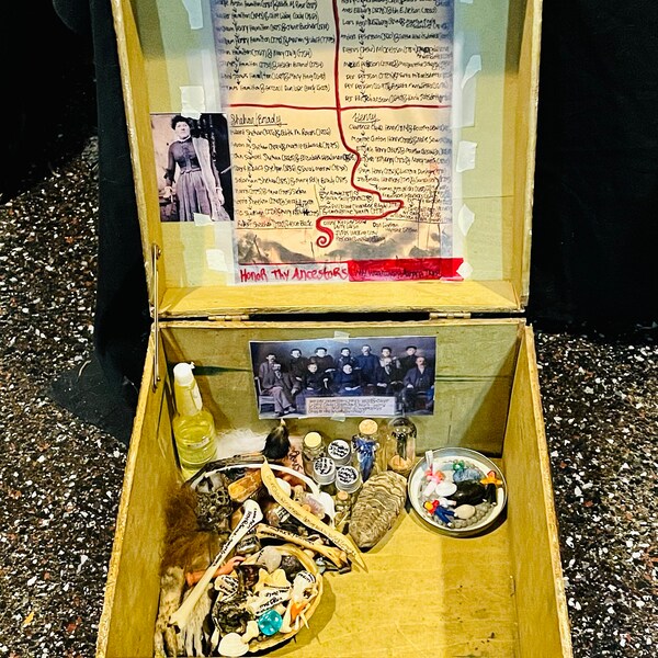 Throwing the Bones Book & Kit 129 Pgs and 15 Pc Learn to Throw the ...