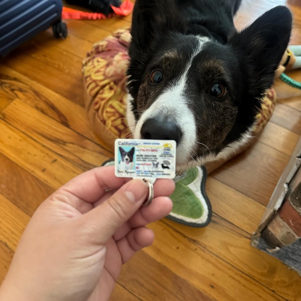 California Driver Dog Id Tag Personalized License, Durable Dog Tag ...