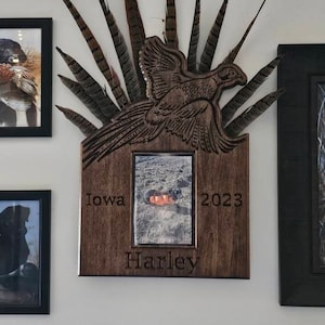 Personalized Double Wide Pheasant Tail Mount Plaque, Tail Feather ...