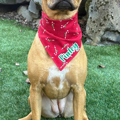 Dog Bandana Sea Turtles Elastic Dog Bandana Scrunchie Dog - Etsy