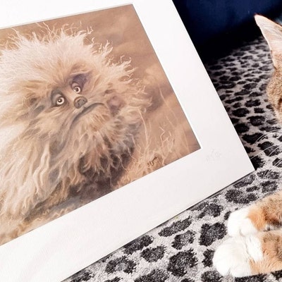 Fizzgig Dark Crystal Limited Print - Etsy