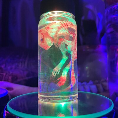 Round LED Display Base for Wet and Diaphonized Specimens - Etsy