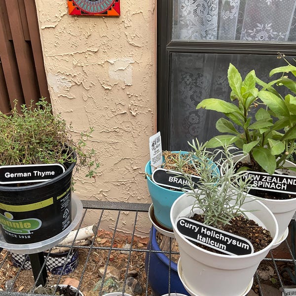 Garden Tags Customizable, Plant Markers, Herb Labels. Perfect for ...