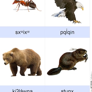 FARM ANIMALS POSTER Montessori Poster Montessori - Etsy