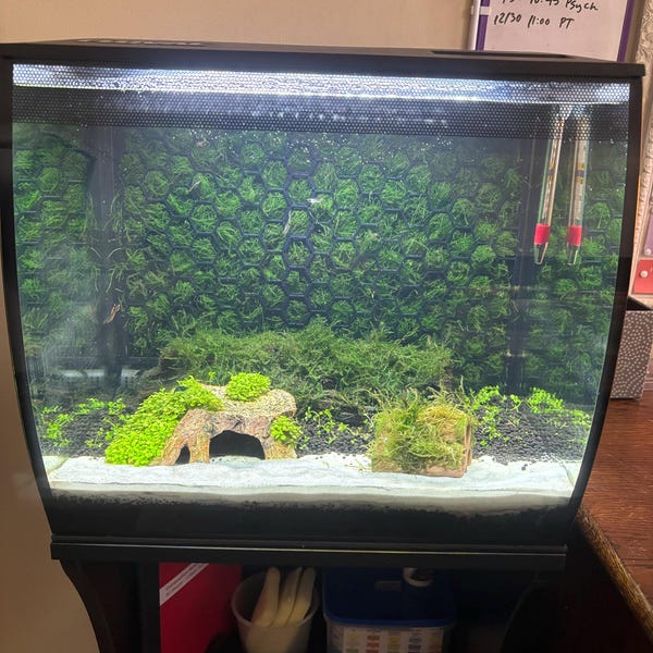 Fluval Flex 34L/57L (9/15 Gallon) Aquascape Moss Net Panel Wall for ...