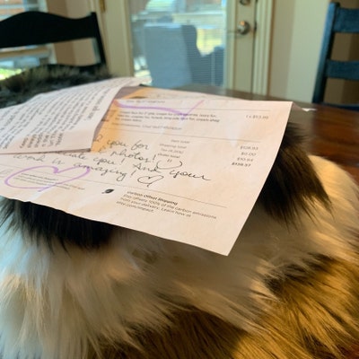 Brown Faux Fur 2 Pile, Brown Fur, Brown Fur Fabric Craft Squares, Brown ...