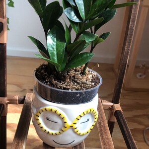 Chrissy Ceramic Pot With Saucer Ceramic Pot CR6360GR OR - Etsy