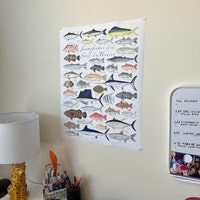 24x36 Gamefishes of the Texas Coast Poster, Texas Coast Poster, Texas ...