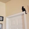 Black Cat Decor, Cat Door Corner Sign, Kitty Cat Door Corner, Cat Gift ...