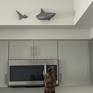 3D Shark Wall Decor Swimming on the Wall.the Shark is Visiting Your ...