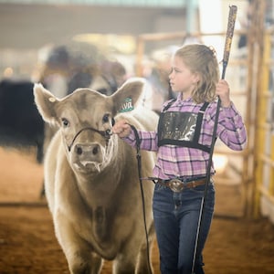 Pregnancy Announcement Customized Ear Cow Tag Personalized Allflex ...