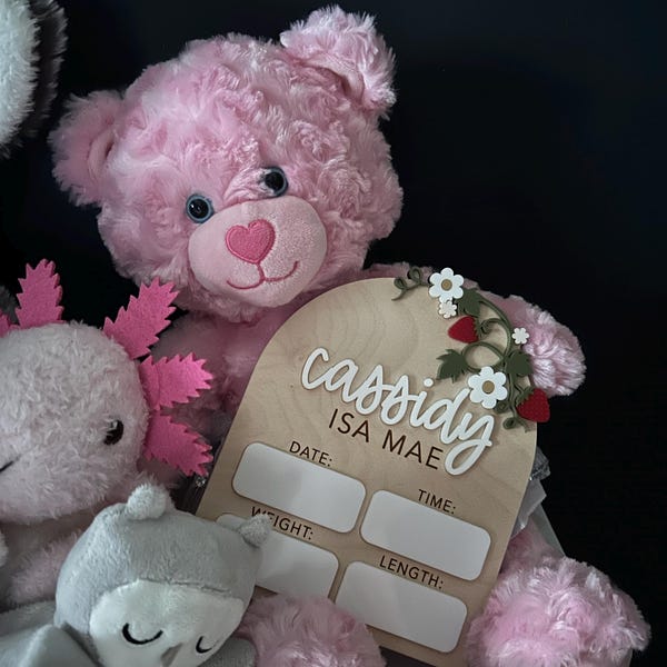 Shark Sign | No Wake Zone | Beach Theme Decor | Shark Room Sign ...