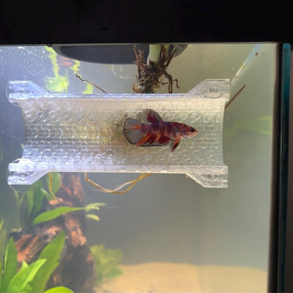 Seeshelter® Brand Betta Tunnel "gemstone Collection" - 11 Colors ...