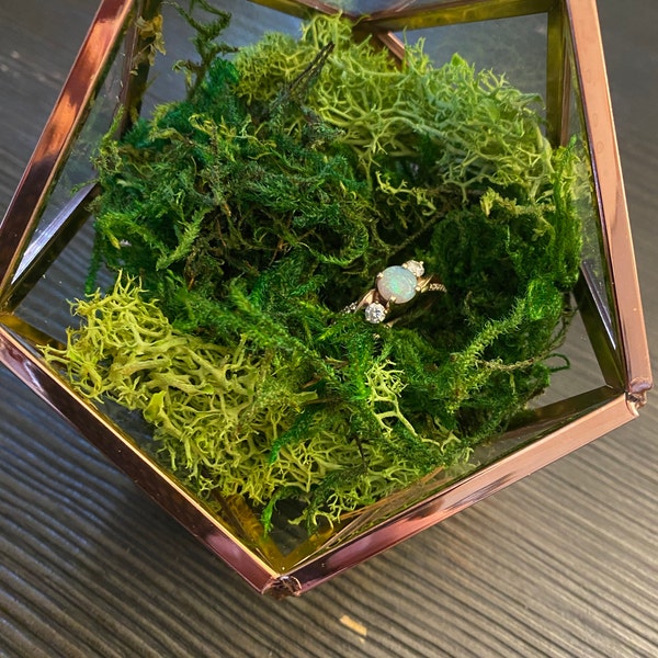 Geometric Glass Ring Box With Moss - Rose Gold or Gold - Personalized ...