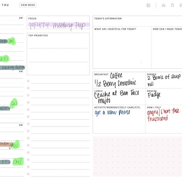 Digital Planner, Goodnotes Planner Undated, Daily Planner, Weekly ...