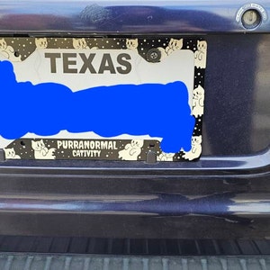 Capybara License Plate Frame, Kawaii Car Decor, Capybara Birthday Gift ...