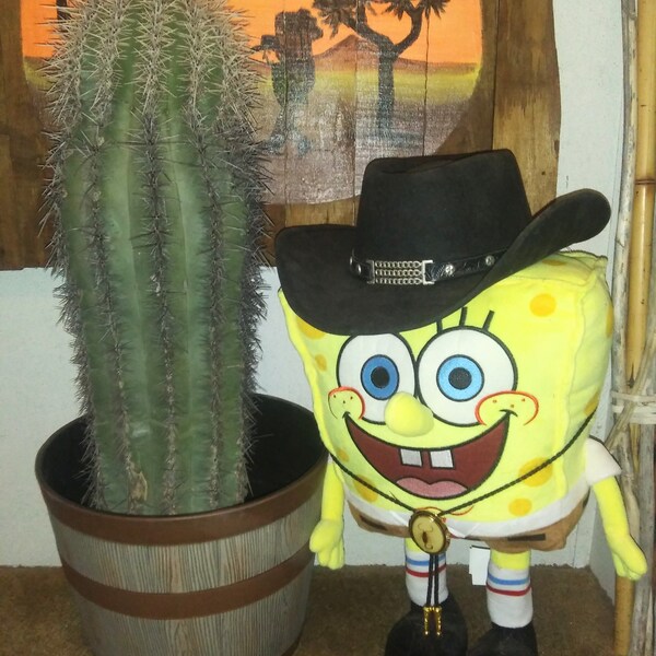 Acacia Tree Seed Assortment 10 Diff. Packs of 25 Seeds Ea. - Etsy