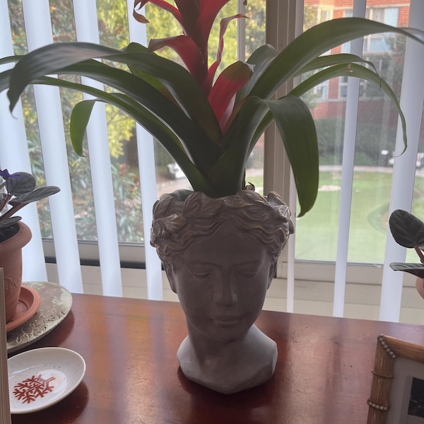 Personalized Greek Goddess Head Planter: Cement Woman Bust Face Pot ...