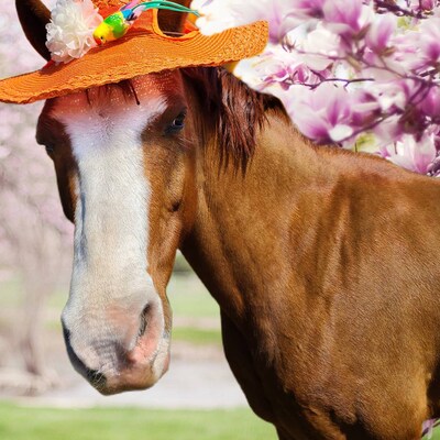 Sun Hats for Horses in Several Colors Kentucky Derby Horse Hat Bonnet ...