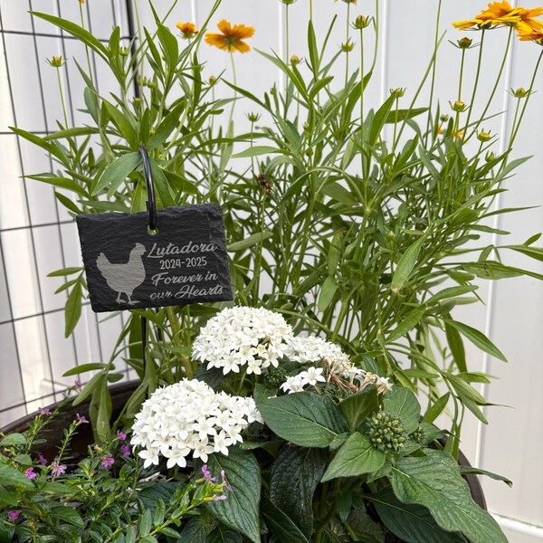 Duck or Duck With Heart Pet Memorial 3x4 Forever in Our Hearts Custom ...