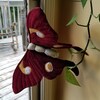 Luna Moth Wings - Small & Medium - Digital PDF Sewing Pattern + Video ...