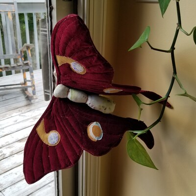 Luna Moth Wings Small & Medium Digital PDF Pattern Video Class - Etsy