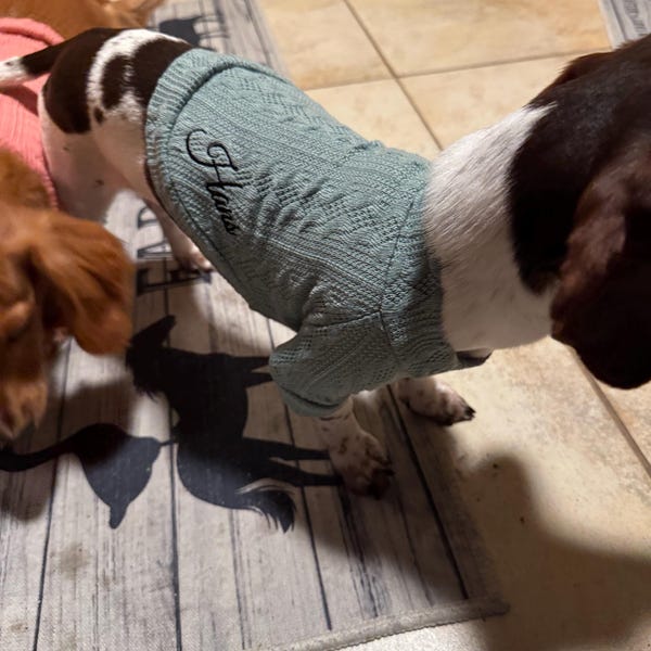 Personalized Dog Sweater Embroidered Puppy Shirt With Pet Name Xs ...