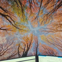 Freightliner Canvas Set, Freightliner Canvas, Large Wall Art, Canvas ...