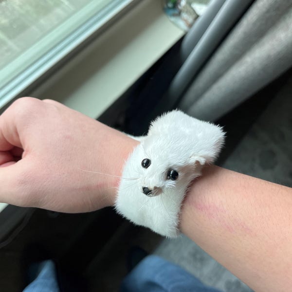 Weasel Slap Bracelet, Sherman the Ermine, White Ermine Slap Bracelet ...