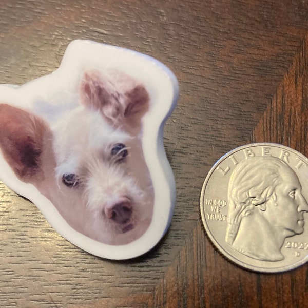 Custom Pet Pin | Personalized Dog Acrylic Brooch | Custom Cat Photo ...