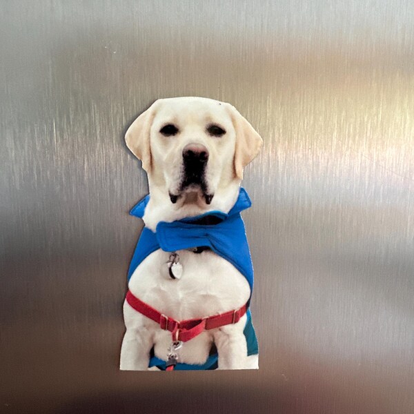 Personalized Baby Magnet - Baby Refrigerator Magnet - Custom Baby ...