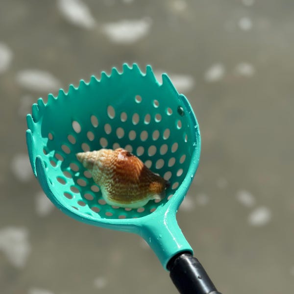 Shell Scoop, Rock Hunt Scoop, Shark Tooth Sifter, Sand Scoop, Rock ...